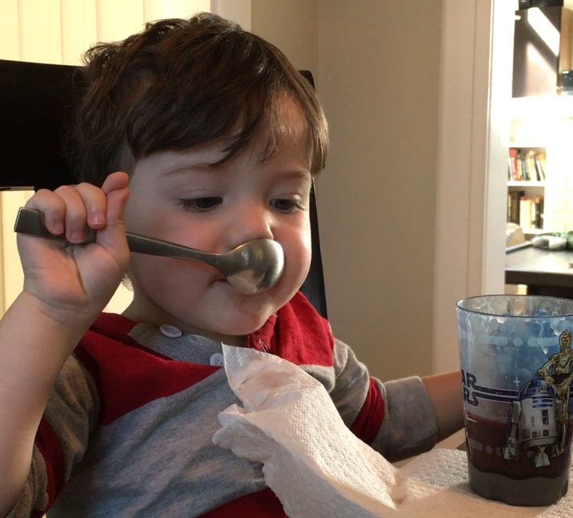 Sautéed Cardboard with A Cardboard Coulis Over a Bed of Cardboard ...